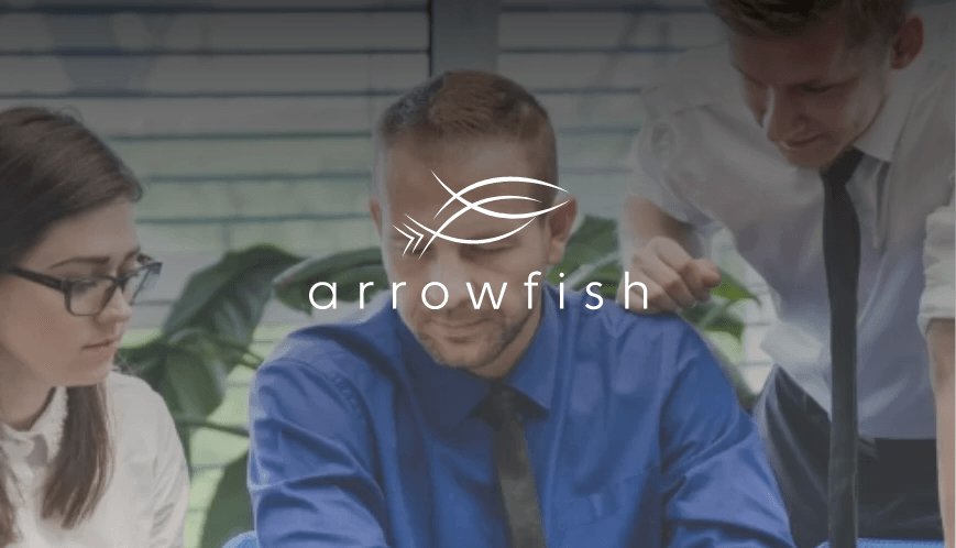 Our Efforts from Concept to Creation for Arrowfish Consulting